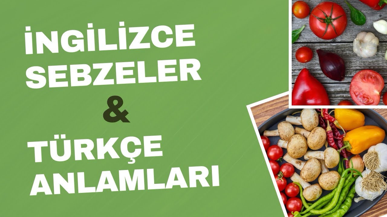 İNGİLİZCE SEBZELER VE TÜRKÇE ANLAMLARI 🙋🏻‍♀️ | vegetables in English ...