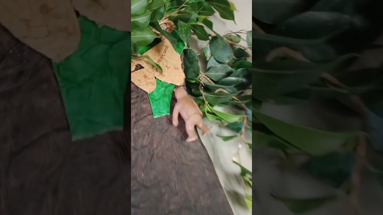 save trees,flora and fauna fancy dress making - YouTube