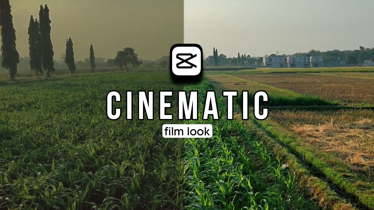 Film look CapCut filter || Cara mudah edit Cinematic Color Grading Film ...