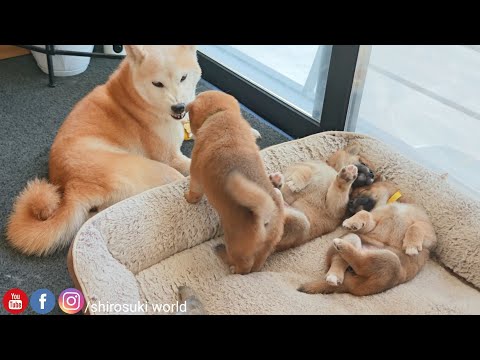 Oh...you get AMGERY too?