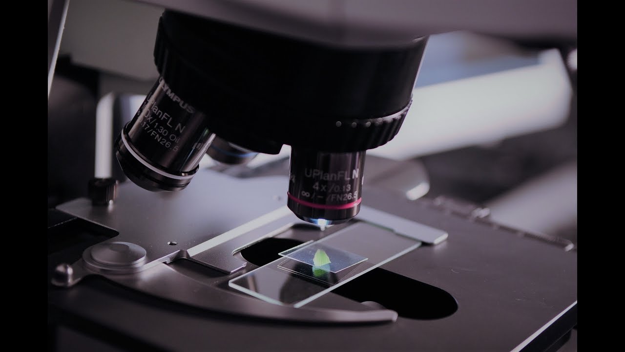 Microscope | types of microscope and their functions | different types ...