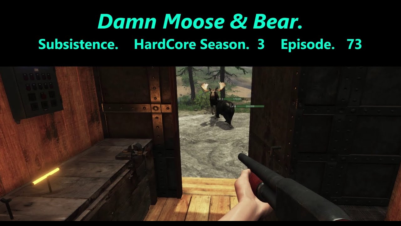 Damn moose and bear. Subsistence. HardCore Season. 3 Episode. 73 - YouTube