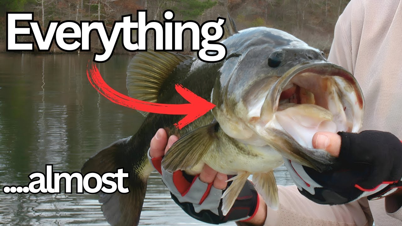 Everything About Bass Fishing.....Almost - YouTube