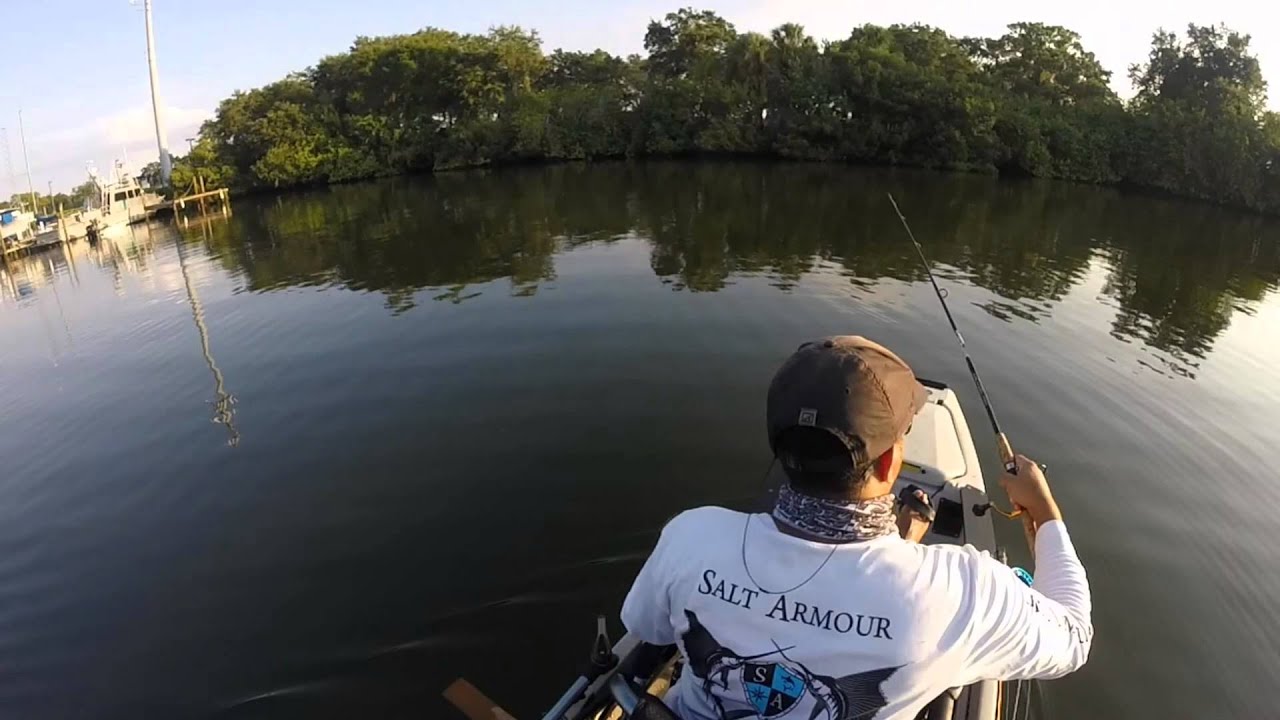32 Inch Summertime Snook - YouTube