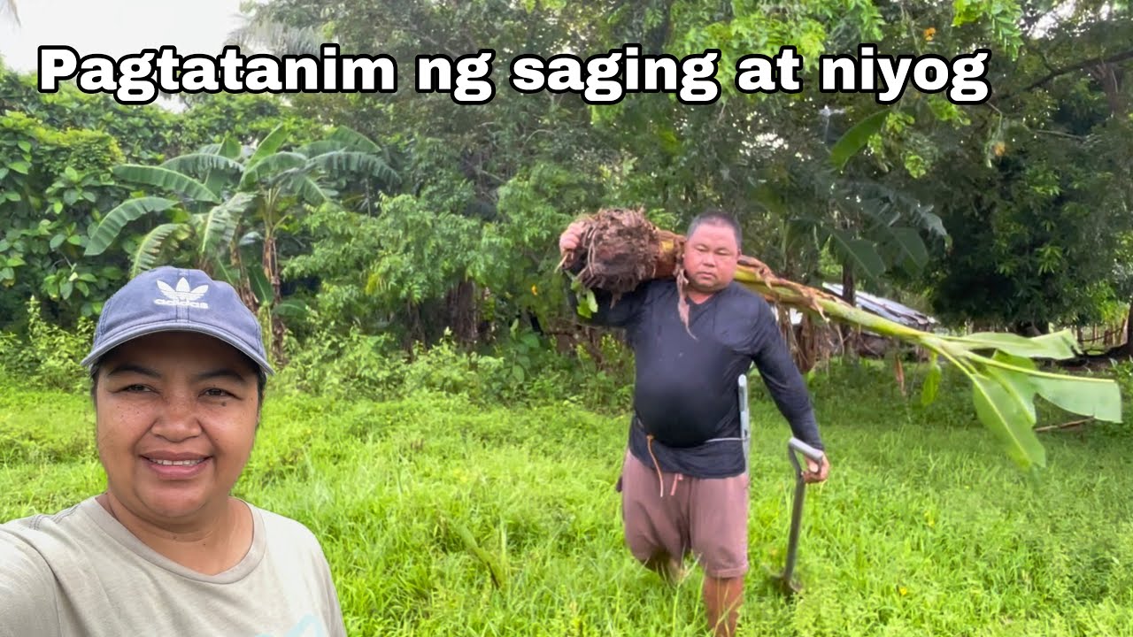 Nagtanim ng mga saging at niyog | Buhay Probinsya - YouTube