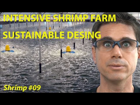 INTENSIVE SHRIMP FARM DESIGN AND EFFLUENT MANAGEMENT #09 | #FISH - YouTube