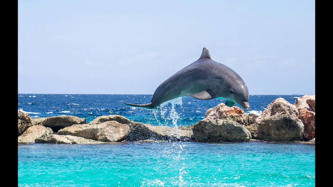 Relaxare profunda - meditatie ghidata - YouTube