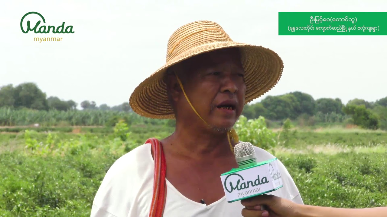 3 Manda Natural fertilizer (chile) - YouTube