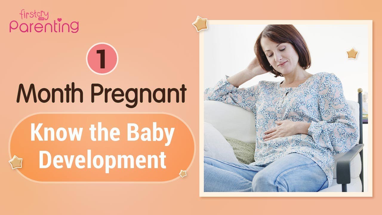 1 Month Pregnant - Know the Baby Development - YouTube