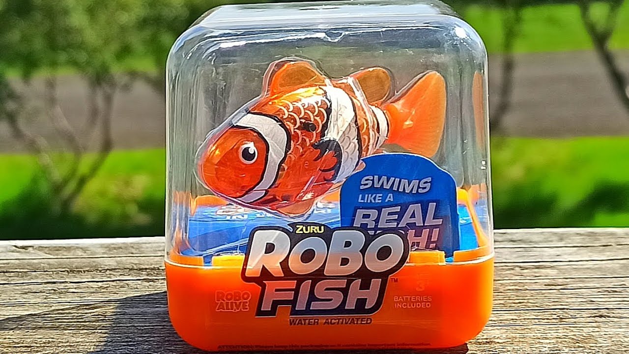 Robo Fish Water Activated From Zuro - YouTube