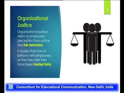 Organizational Justice - YouTube