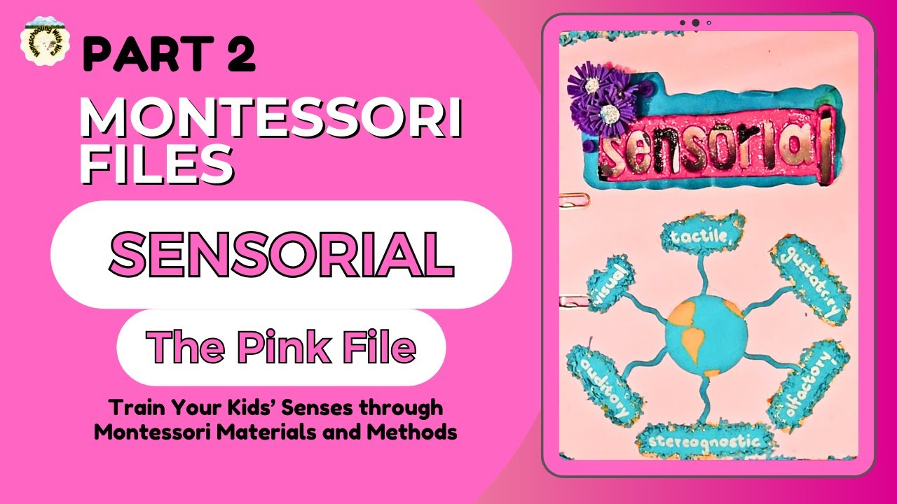 Sensorial File Montessori PART 2/ Pink File #montessori #sensorialalbum ...
