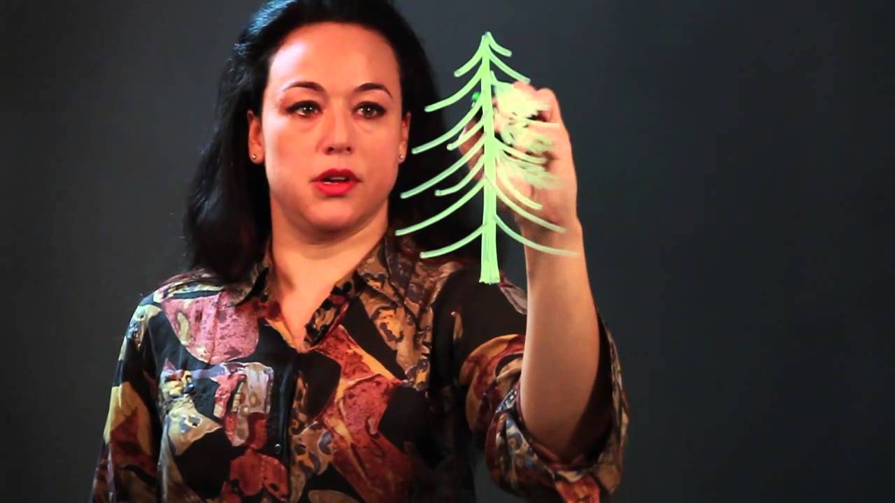 How to Draw a Coniferous Tree - YouTube