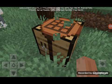 Kuzenlerim aslı ve ömer farukla minecraft oynadım