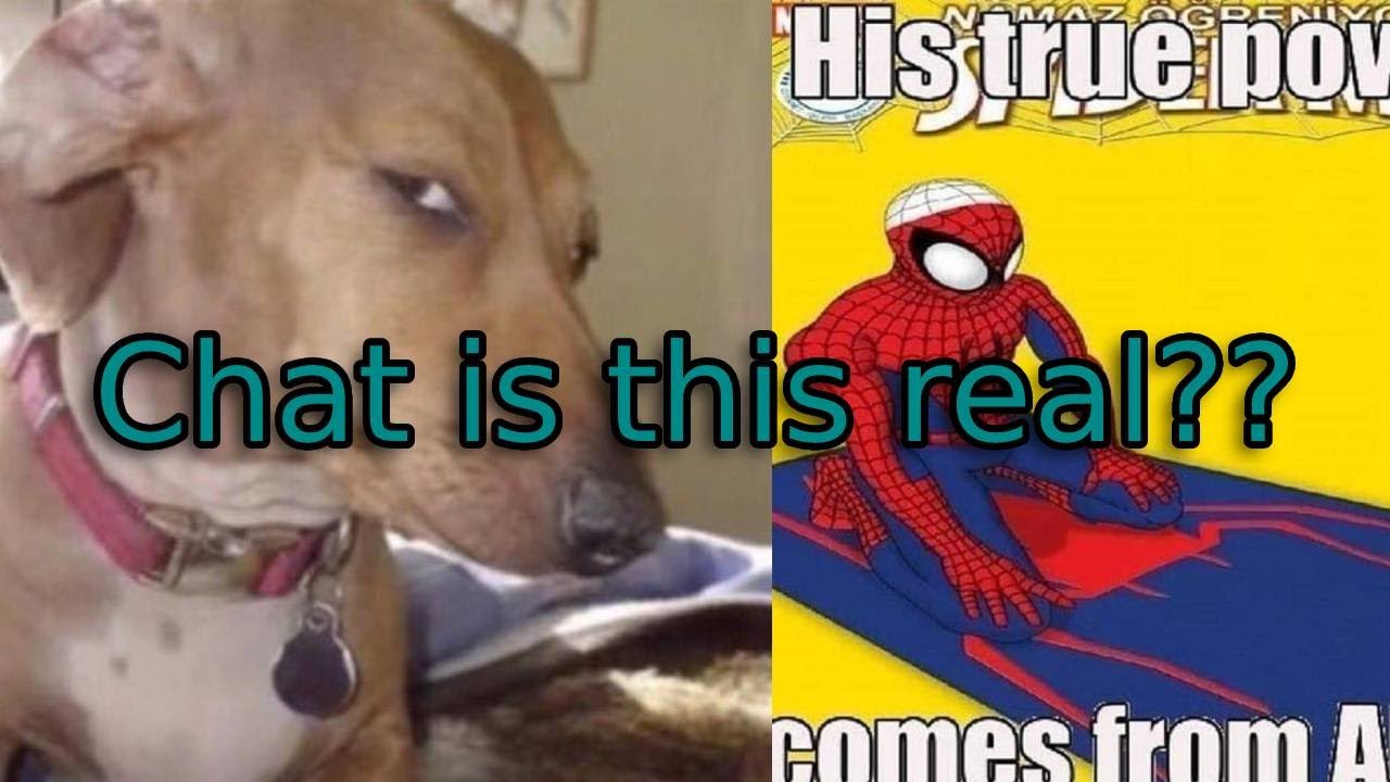 chat is this real? - YouTube