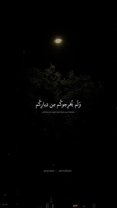 لا ينهاكم الله عن الذين لم يقاتلوكم في الدين محمد صديق المنشاوي