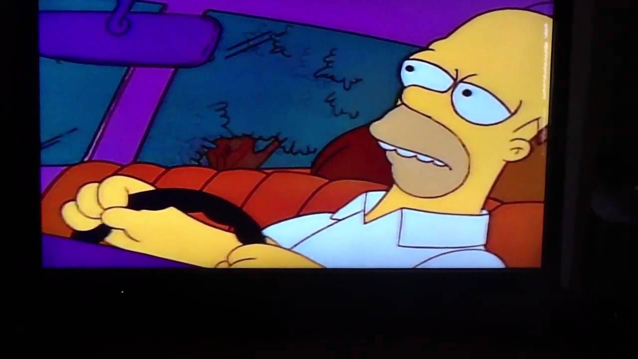 Lisa gets a pony - YouTube