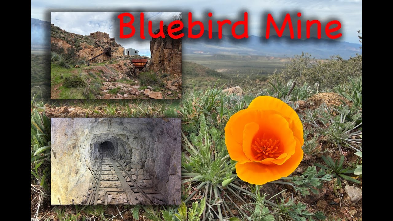 Offroading to Bluebird Mine with Rim Country 4 Wheelers - YouTube