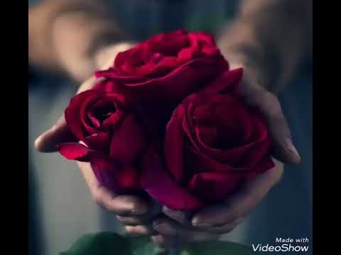 Пуё баети 2019