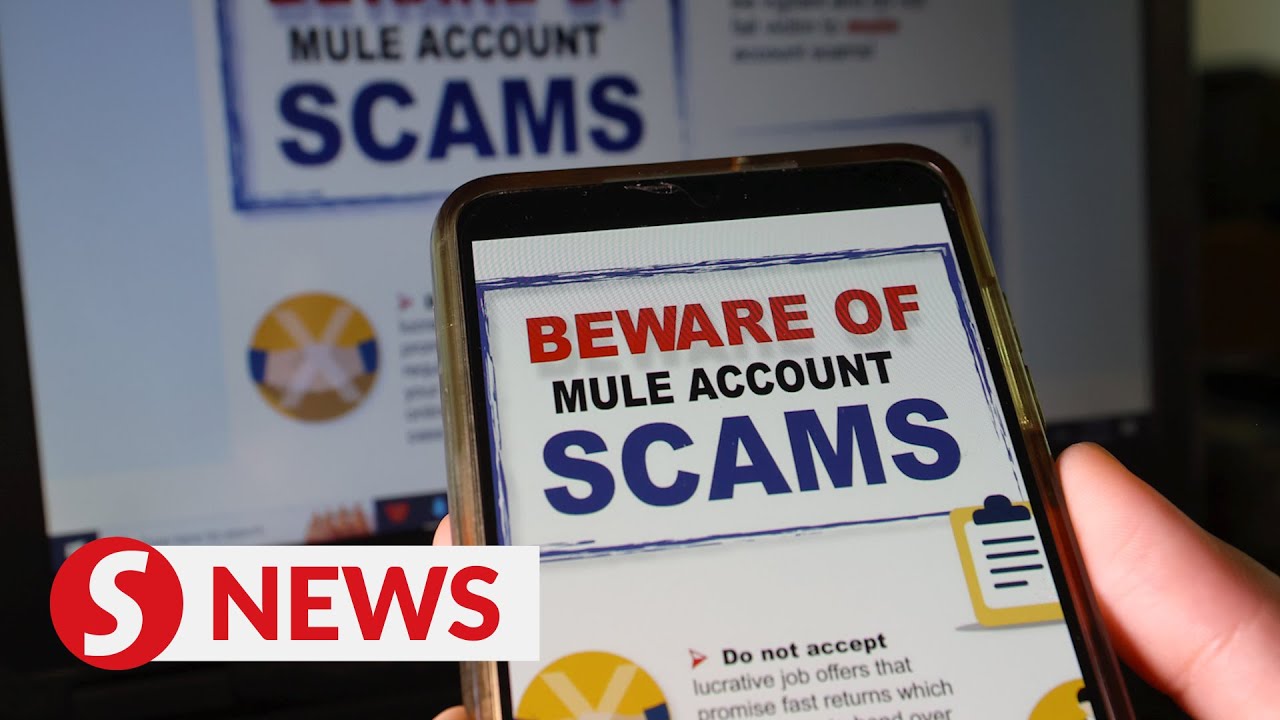 Scammers using shell companies, fake businesses to move their money ...