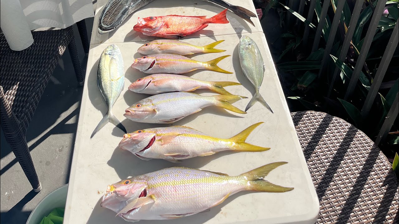 Fishing Offshore Tavernier,FL Keys-Last Trip 13ft Boston Whaler ...