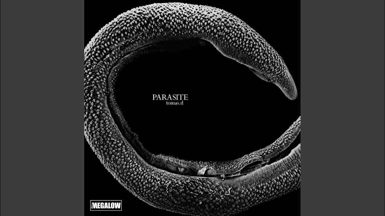 Parasite (Original Mix) - YouTube