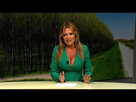 Notaio Giorgia Manzini - Buongiorno Reggio 21.07 - Successione ...
