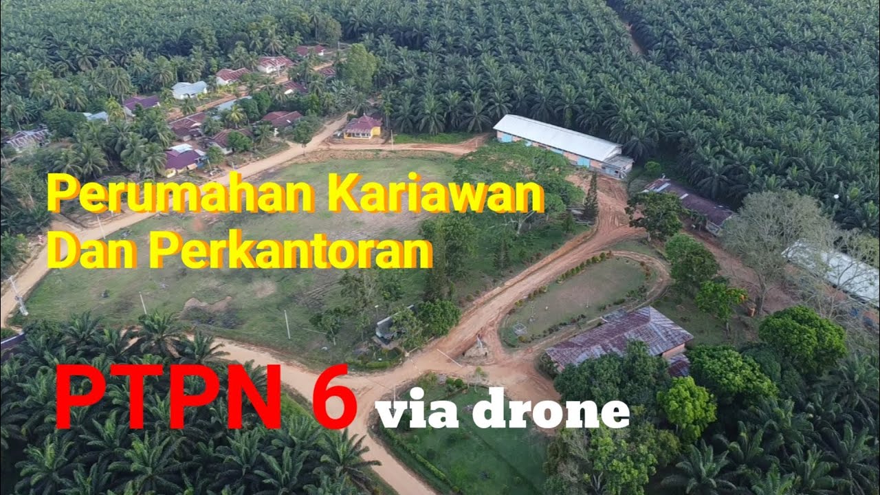Perumahan kariawan dan perkantoran PTPN 6 (via drone) @ayahnesya7868 ...