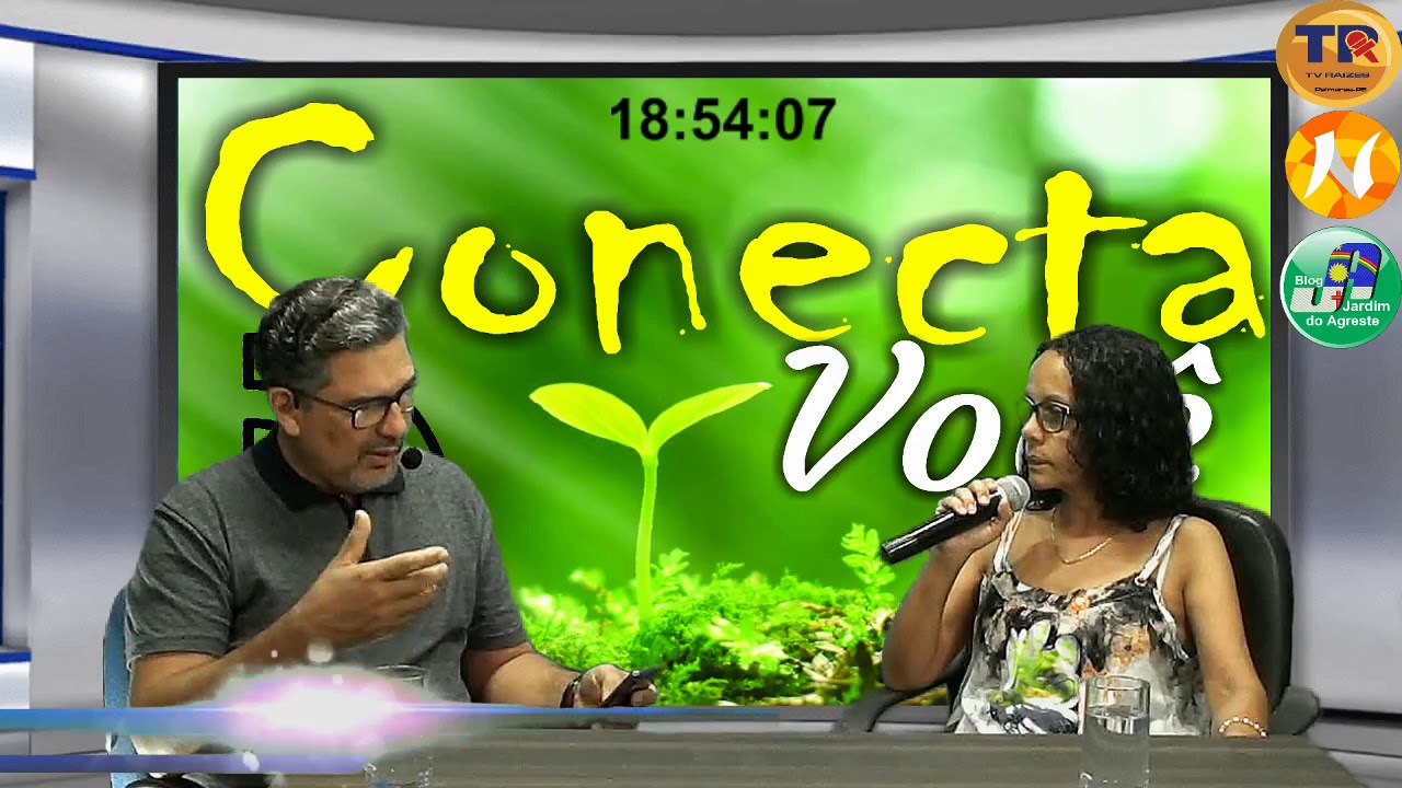 PROGRAMA CONECTA VOCÊ !!! - YouTube