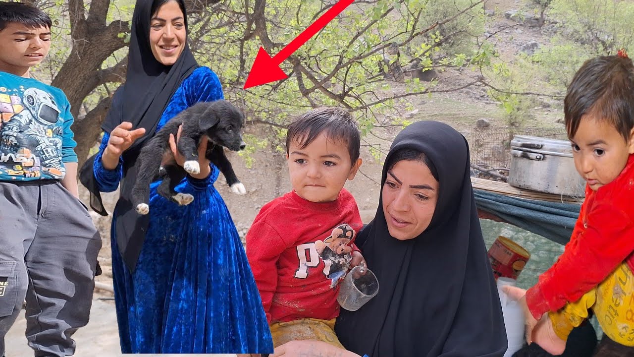 Meeting of hearts: Fatima at Agha Qorboun's house - YouTube