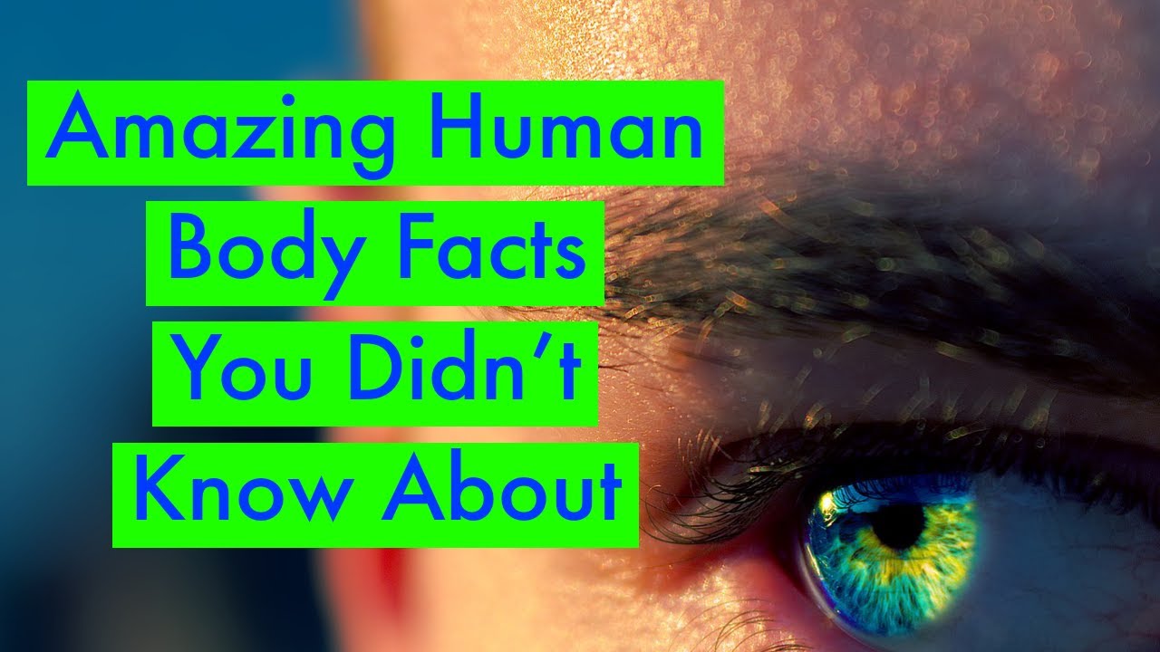 Amazing Human Body Facts You Didn't Know About | Edu Bhandar - YouTube