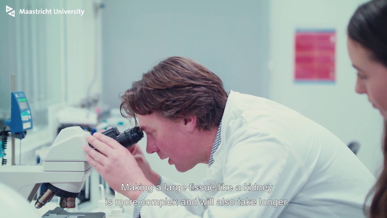 MSc Biomedical Sciences: specialisation Regenerative Medicine - YouTube