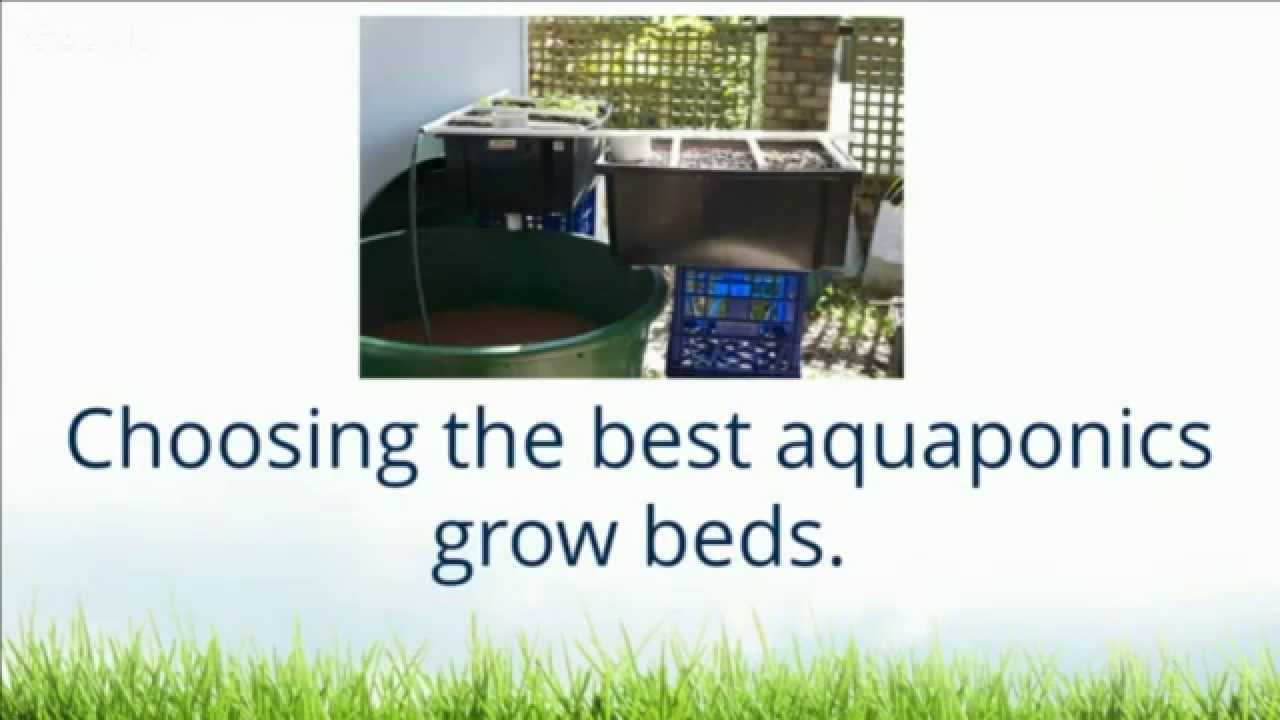 Choosing The Best Grow Beds For Aquaponics - YouTube