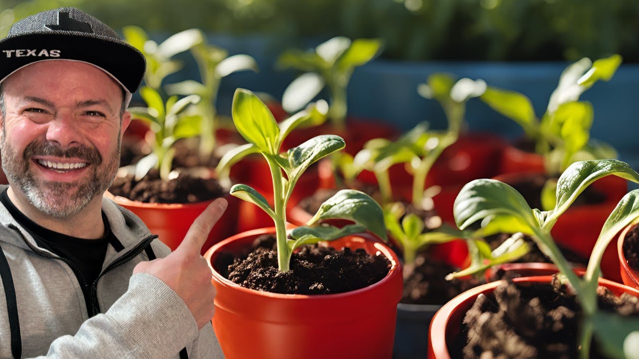 How to Start Seeds 🌱Complete Guide (Part 2: Seeds & Soil) - YouTube