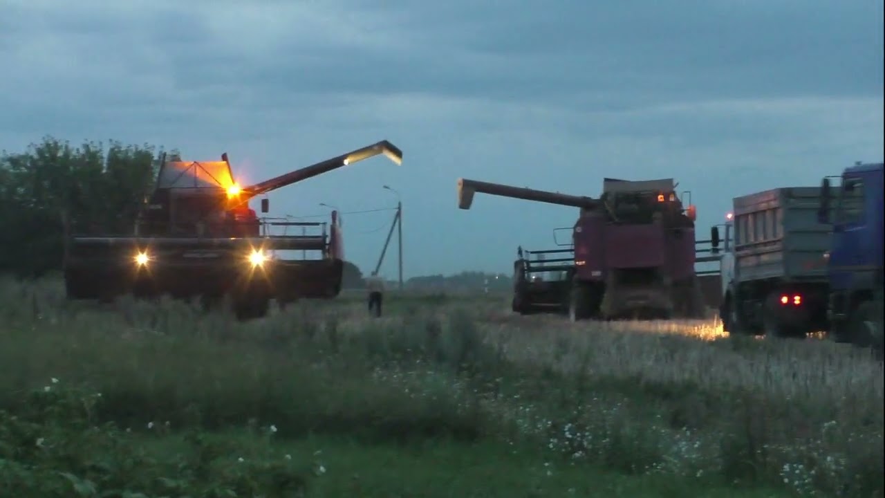 Вечерняя Уборка озимого рапса.PALESSE GS 10 /GS12 / GS12 А1, на 35 га ...