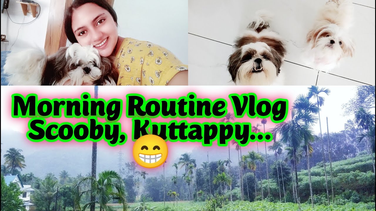 Morning Routine Vlog Youtube
