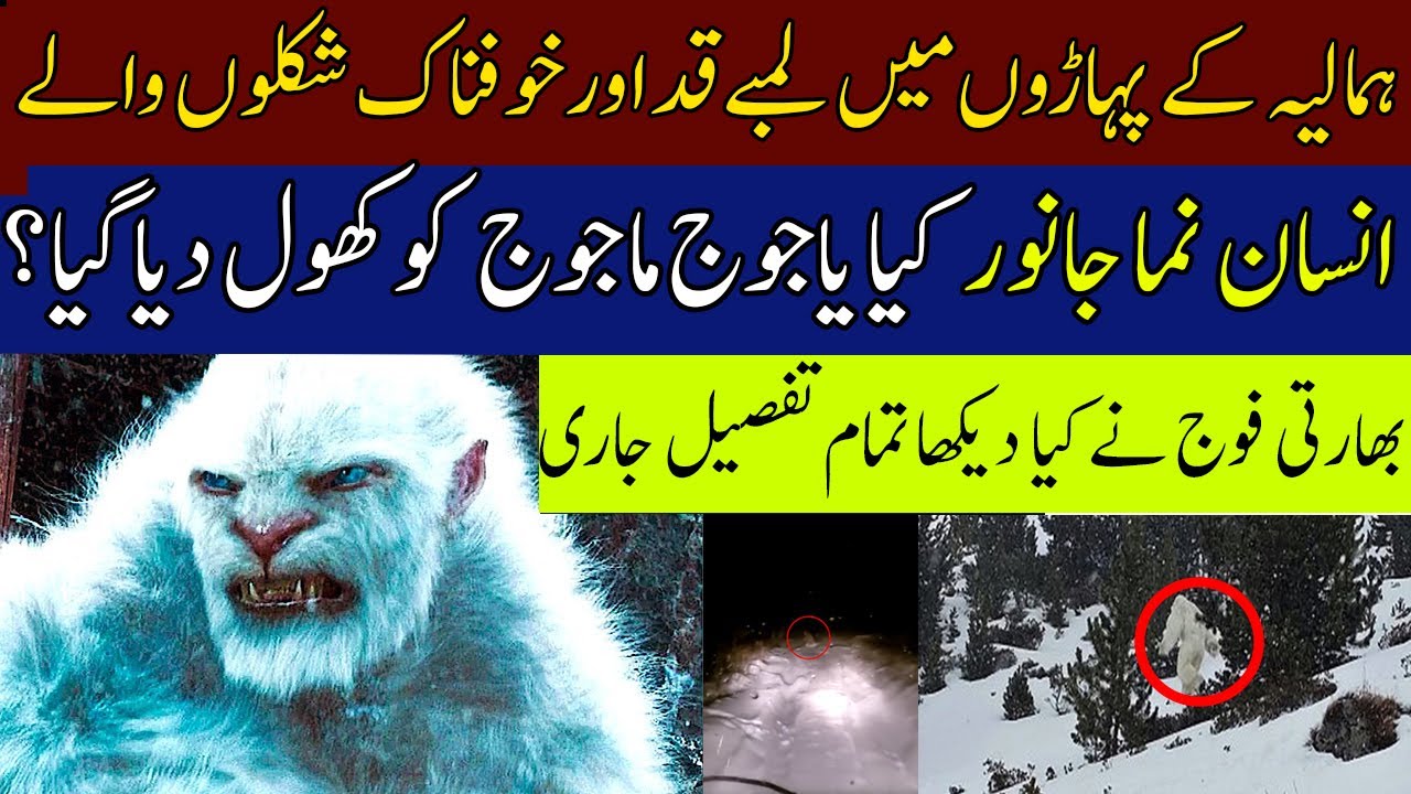Real Story of Himalayan Yeti | क्या Yeti एक Monster है? لمبےقداورخوفناک ...