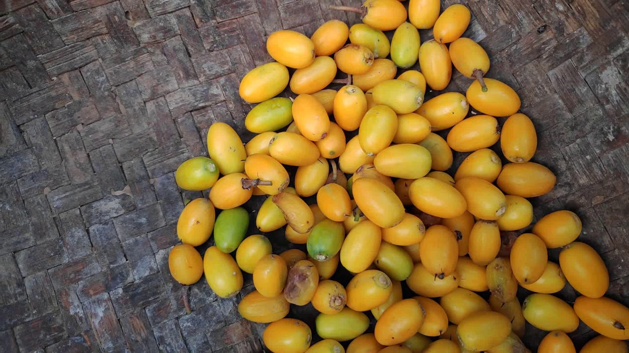 Pali Pandi - Pala Pallu - Forest Milki Fruits - YouTube