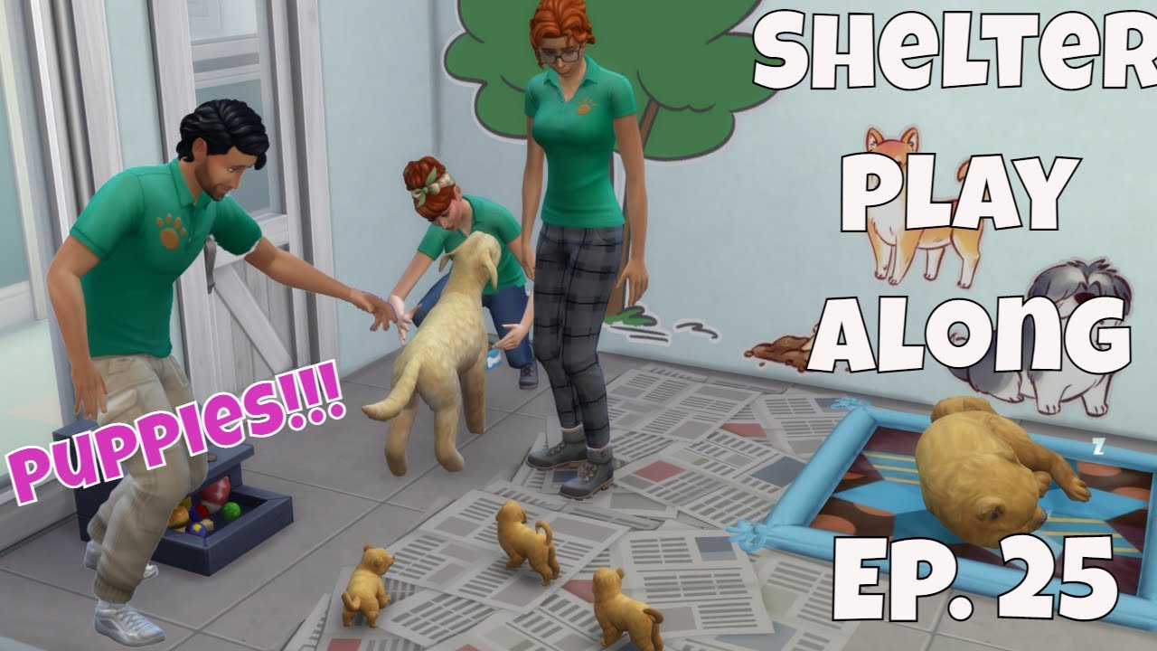Sims 4 Shelter Play Along Ep 25 - It's Puppy Season!!!!! - YouTube