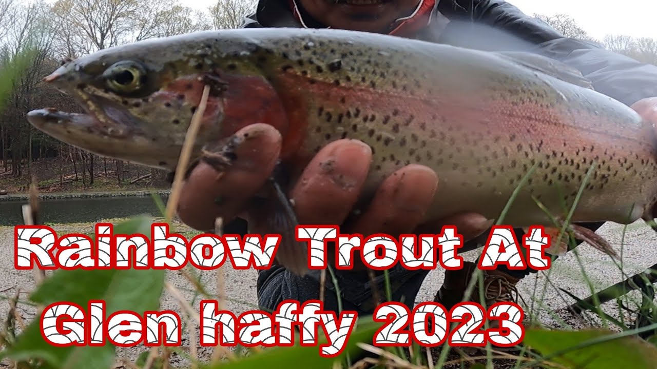 Trout fishing at Glen Haffy Conservation Park April 2023 - YouTube