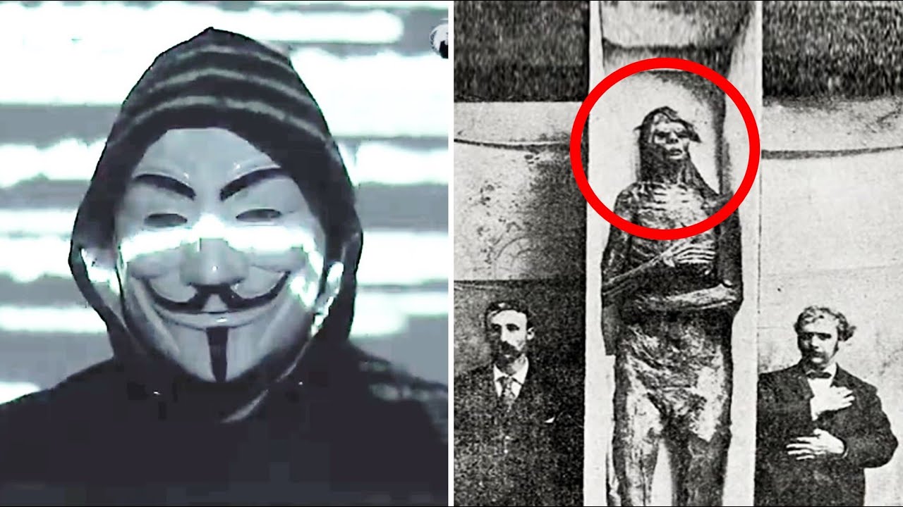 Anonymous Just Revealed What Happened To The Giant Skulls The ...