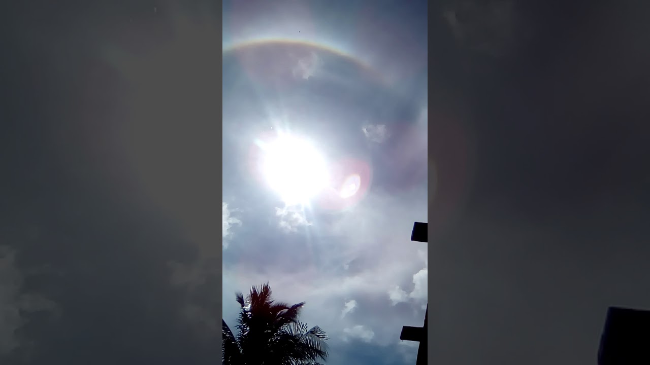 Sinal no Sol hoje 6 de fevereiro de 2020 - YouTube