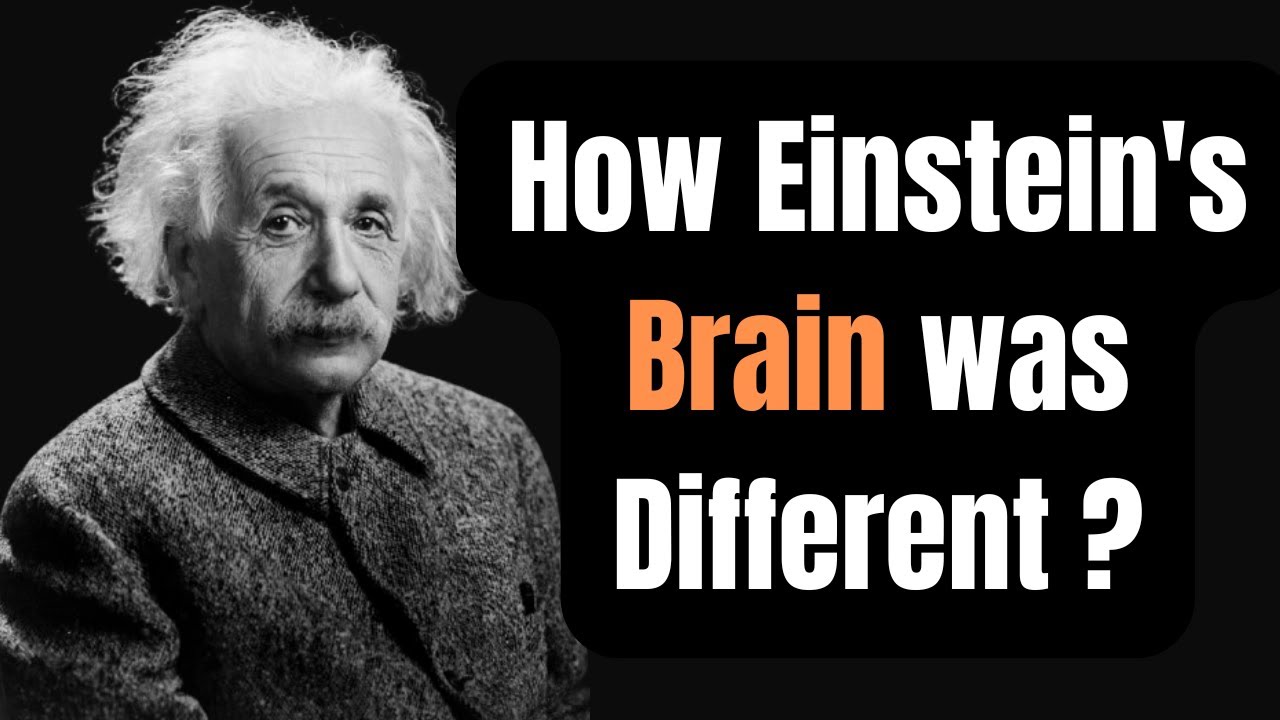 The Extraordinary Brain of Albert Einstein: 50 Mind-Blowing Facts About ...