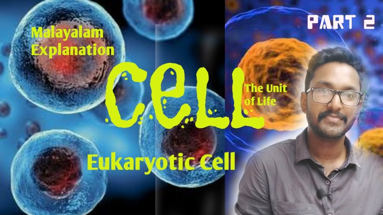 CELL: The Unit of Life| Part 2 | Eukaryotic Cell | Abhinesh Anand ...