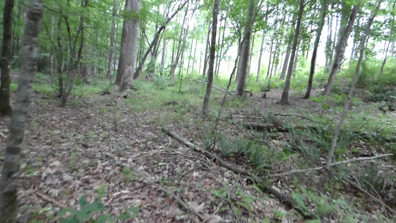 Alabama Bigfoot The Chest Thump! - YouTube