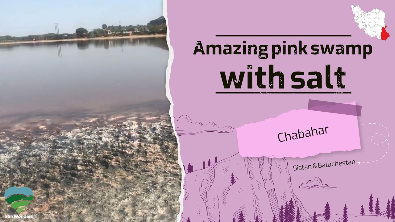 Amazing pink Lipar swamp in Chabahar (IRAN) - YouTube