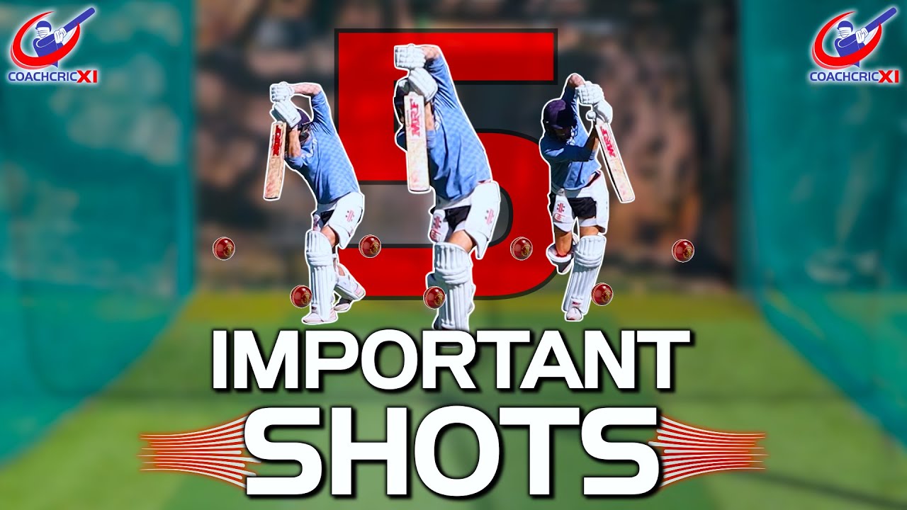 5 MOST IMPORTANT FRONT FOOT SHOTS | Front Foot Batting Guide - YouTube