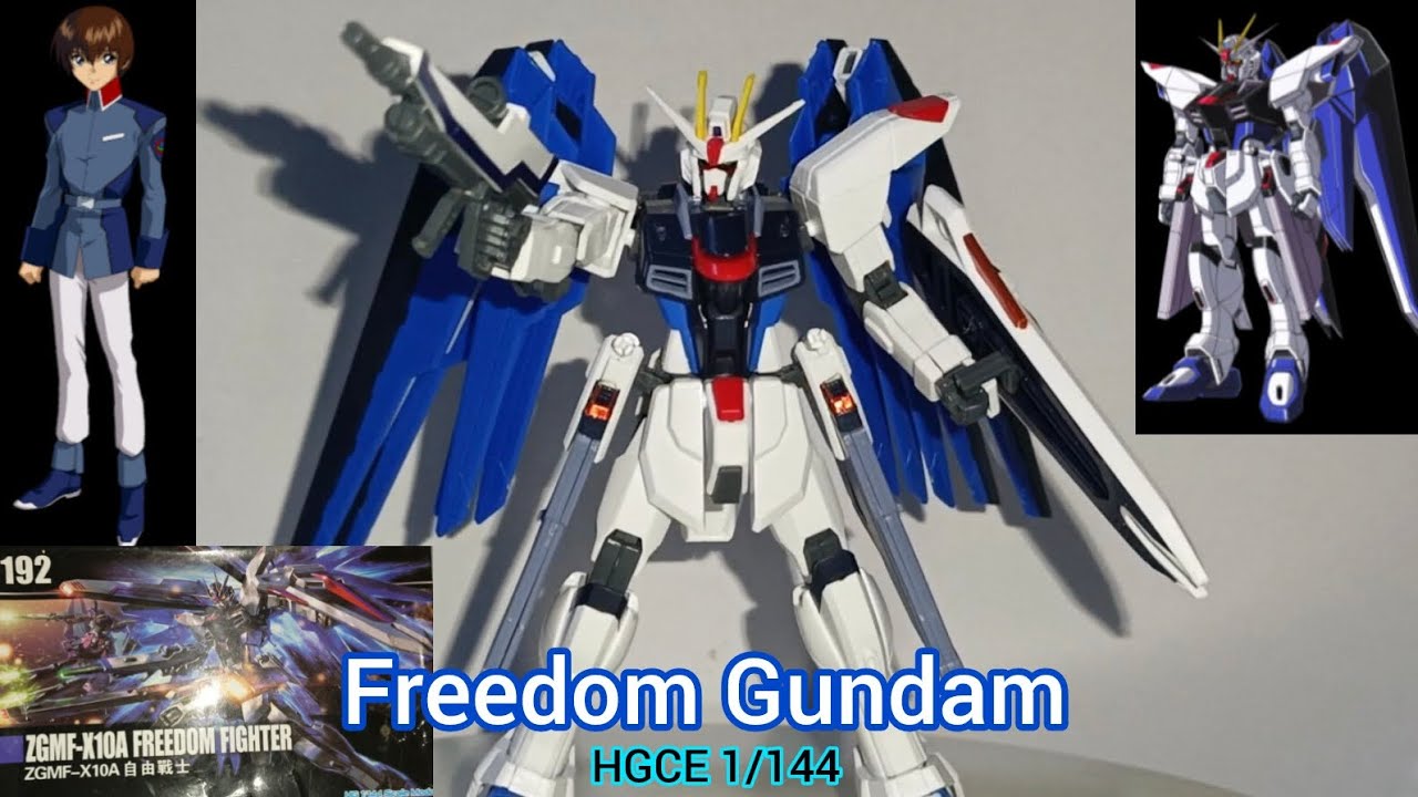 HGCE 1/144 Freedom Gundam (Bootleg) Daban: Freedom Fighter (Quick Build ...