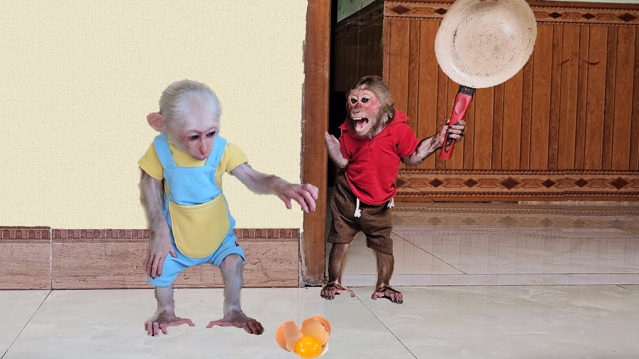 Best Compilation Little Monkey Su with Kuku 🐵 - YouTube