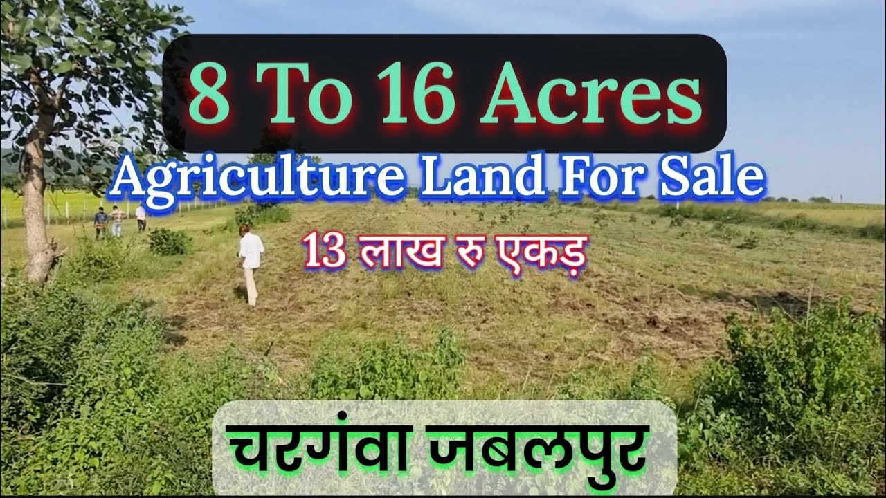 8 To 16 Acres Agriculture Land For Sale Chargawan जबलपुर मध्यप्रदेश # ...